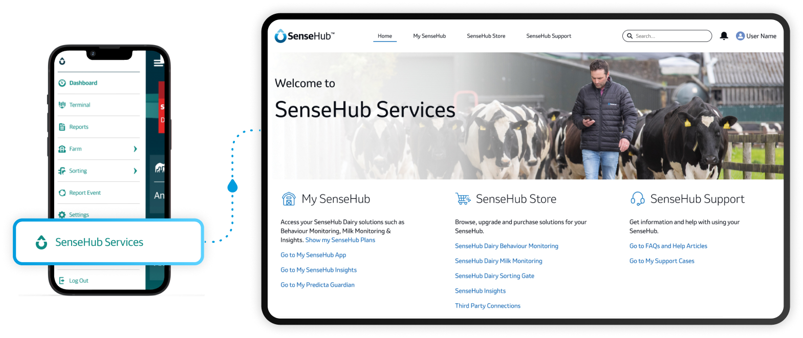 SenseHub Services - SenseHub